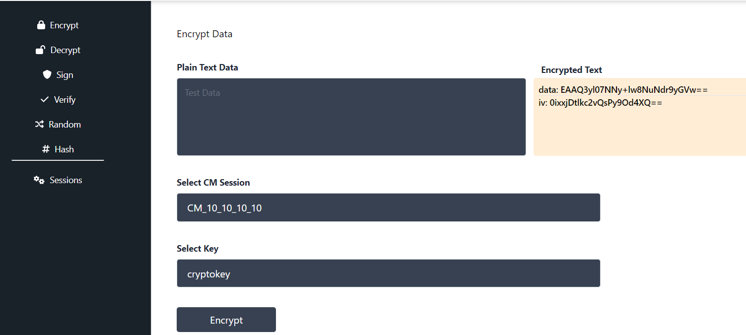 CipherTrust Manager Community Edition - CipherTrust Manager Crypto Tool - Thales Customer Support